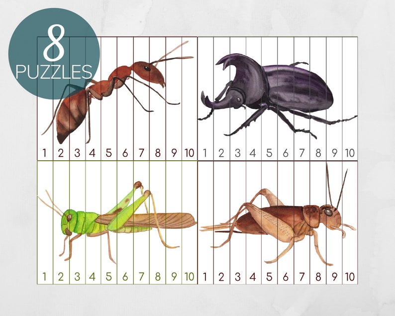 Insect Printable Number Sequence Puzzle 1-10 Montessori - Etsy