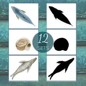 Ocean Animals Shadow Matching, Montessori Activity, Summer Activity ...
