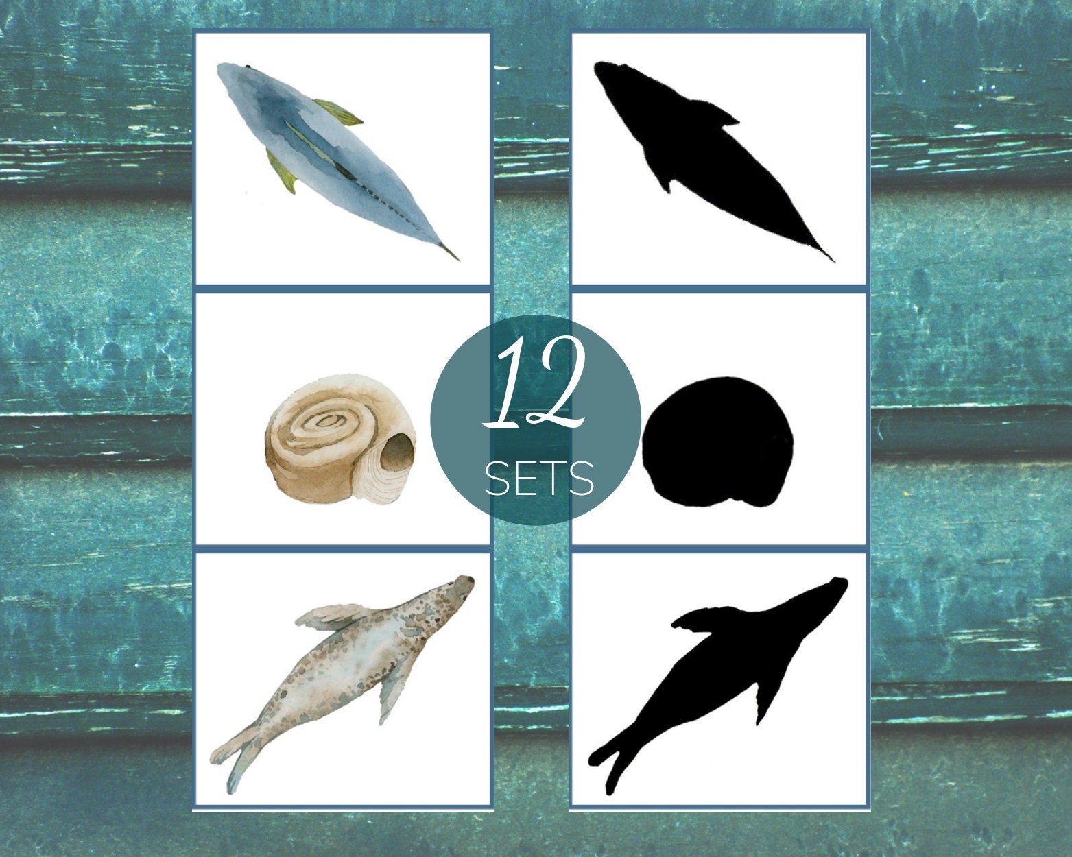 Ocean Animals Shadow Matching, Montessori Activity, Summer Activity ...