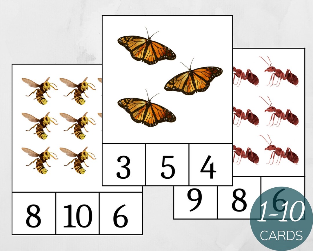 Insect Count and Clip Cards 1-10, Montessori Activity, Summer Math ...