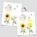 Sunflower Mothers Day Handprint Printable, You're My Sunshine Art Craft ...