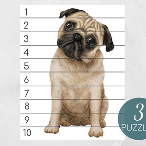 Pet Printable, Number Sequence Puzzle 1-10, Montessori Activity, Summer ...