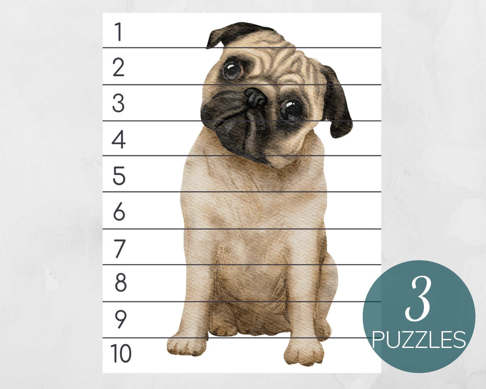 Pet Printable, Number Sequence Puzzle 1-10, Montessori Activity, Summer ...