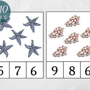 Seashell Count and Clip Cards 1-10, Montessori Activity, Summer Math ...