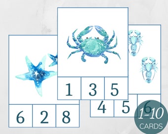 Summer Count and Clip Cards 1-20 montessori Preschool Math Printable - Etsy