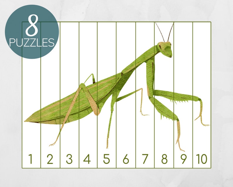Insect Printable Number Sequence Puzzle 1-10 Montessori - Etsy
