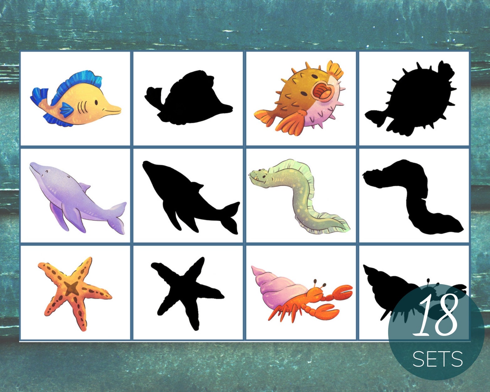 Sea Creature Shadow Matching Montessori Activity Summer - Etsy