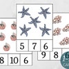 Seashell Count and Clip Cards 1-10, Montessori Activity, Summer Math ...