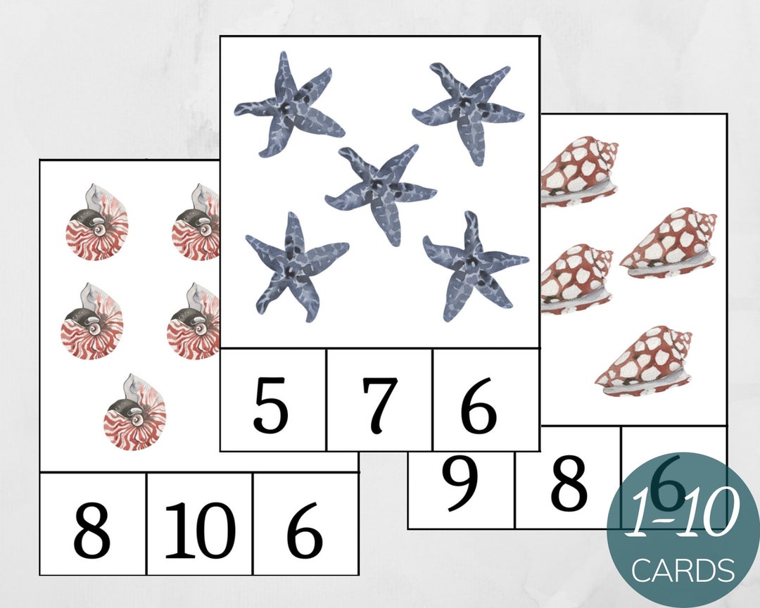 Seashell Count and Clip Cards 1-10, Montessori Activity, Summer Math ...