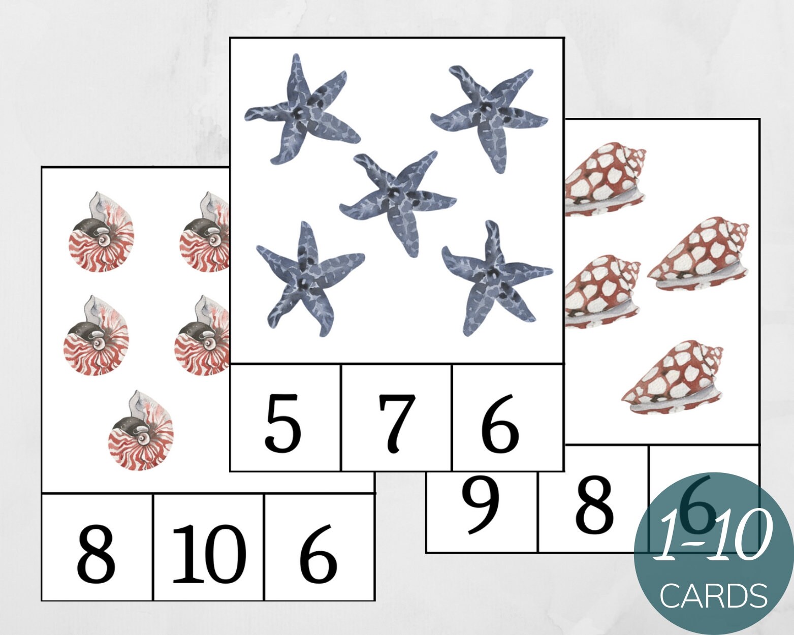 Seashell Count and Clip Cards 1-10, Montessori Activity, Summer Math ...