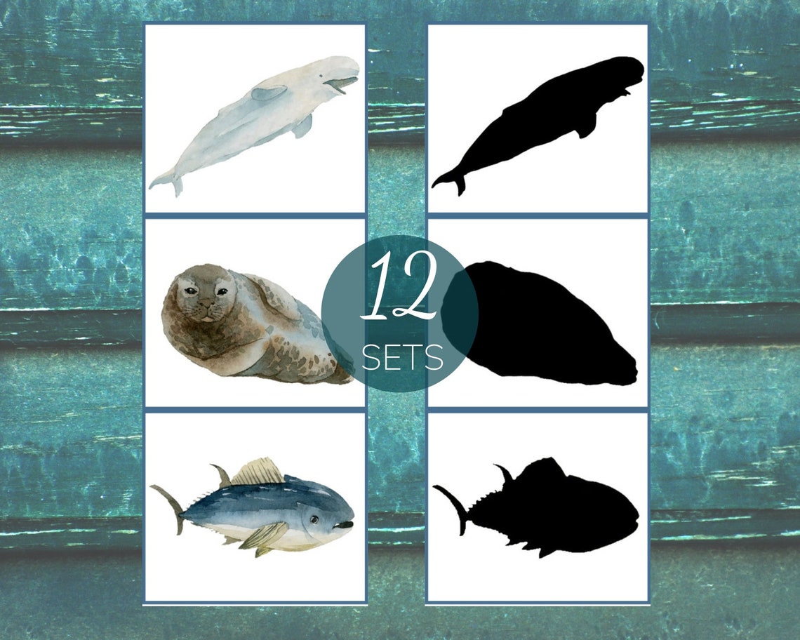 Ocean Animals Shadow Matching, Montessori Activity, Summer Activity ...