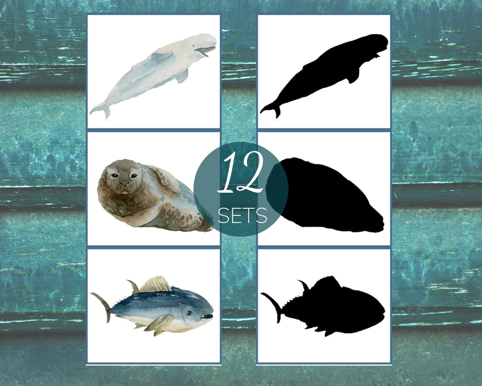 Ocean Animals Shadow Matching, Montessori Activity, Summer Activity ...