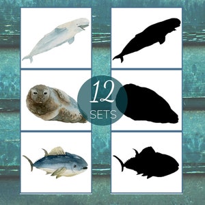 Ocean Animals Shadow Matching, Montessori Activity, Summer Activity ...