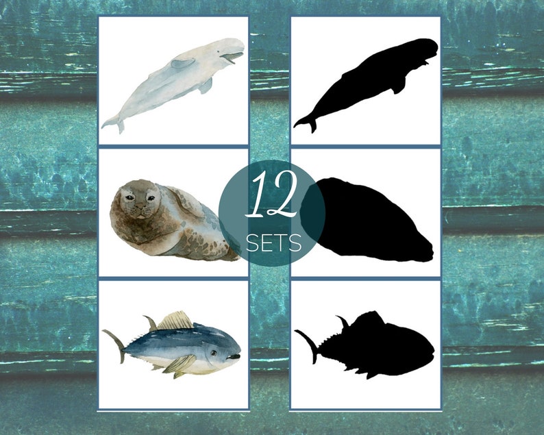 Ocean Animals Shadow Matching Montessori Activity Summer - Etsy