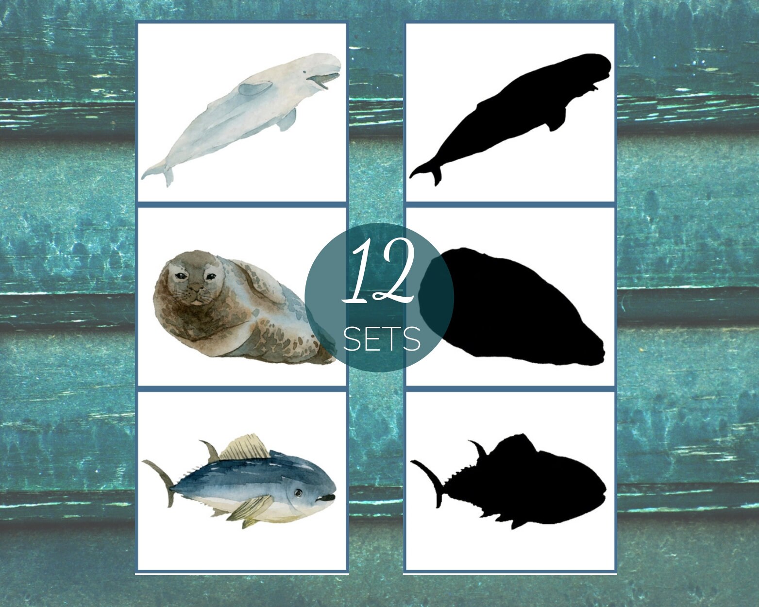 Ocean Animals Shadow Matching, Montessori Activity, Summer Activity ...
