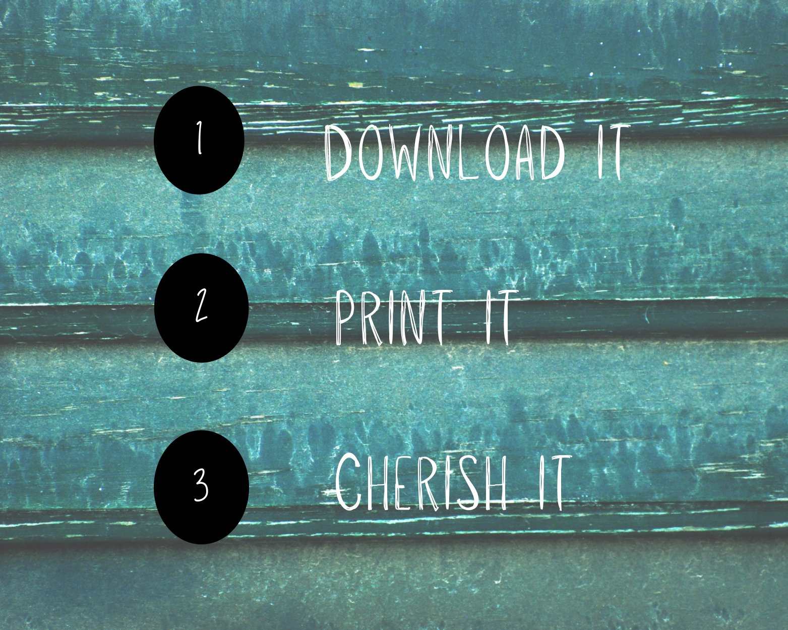 Sea Creature Shadow Matching Montessori Activity Summer - Etsy Australia