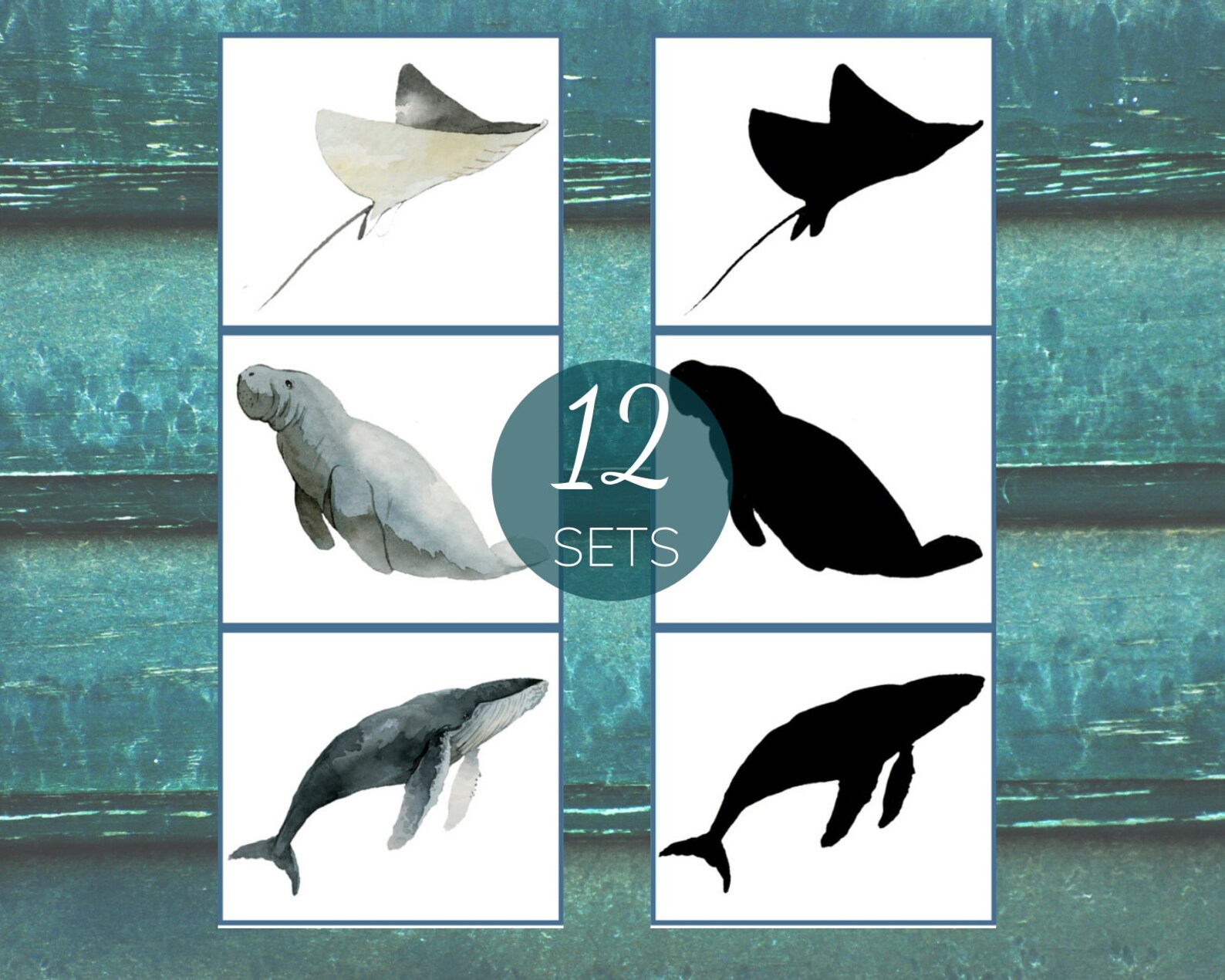 Ocean Animals Shadow Matching Montessori Activity Summer - Etsy