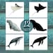 Ocean Animals Shadow Matching, Montessori Activity, Summer Activity ...
