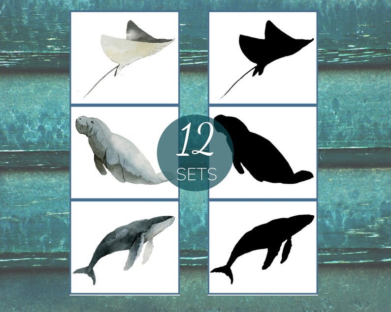 Ocean Animals Shadow Matching, Montessori Activity, Summer Activity ...