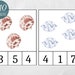 Seashell Count and Clip Cards 1-10, Montessori Activity, Summer Math ...