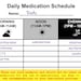 Medication Organization Sheets - Home Med Chart - PDF DOWNLOAD ...
