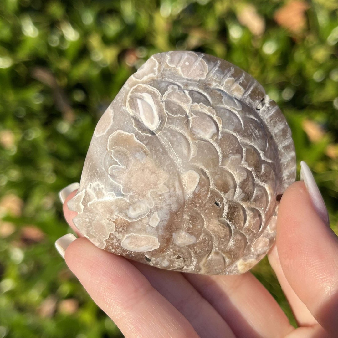 Flower Agate Fish Carving, Agate Crystal Fish - Etsy