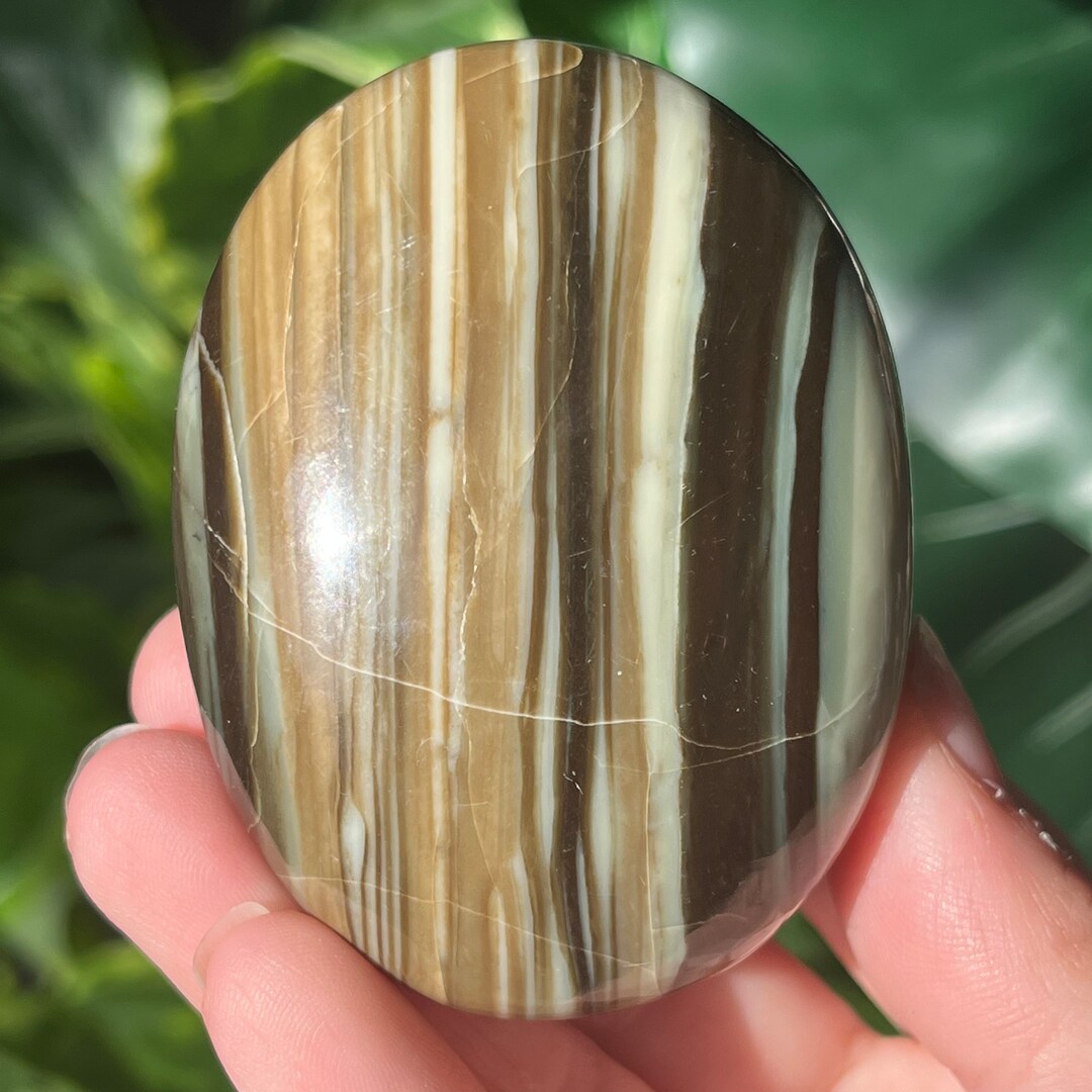 Banded Serpentine Palm Stone From India, Brown and Green Banded ...
