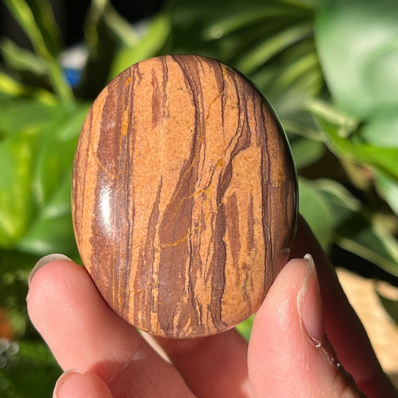 Brown Zebra Jasper - Etsy