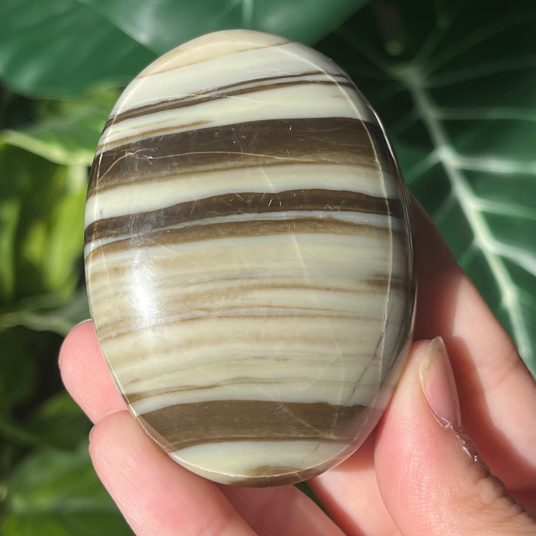 Banded Serpentine Palm Stone From India, Brown and Green Banded ...