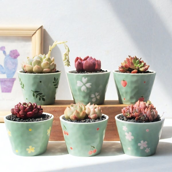 Small Planters - Etsy