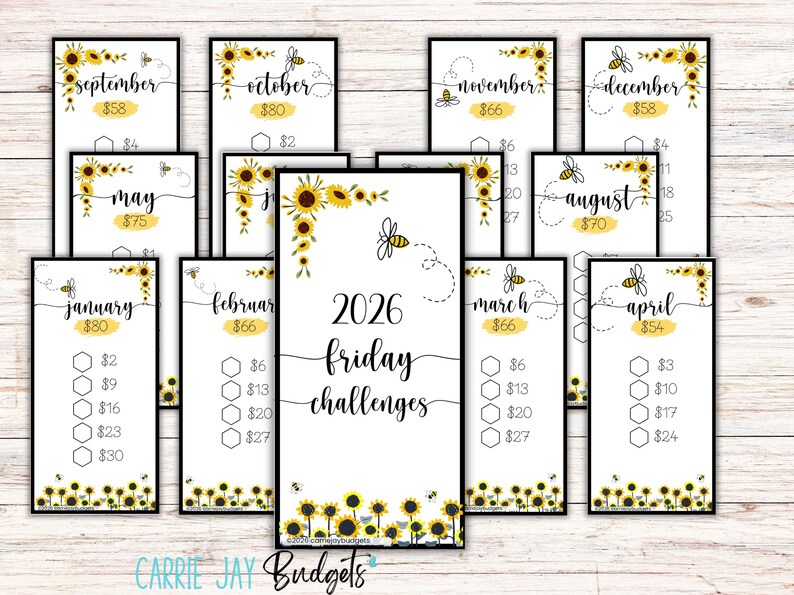 2026 Mini Savings Challenge Starter Set With Lovely A6 Binder | Set of ...