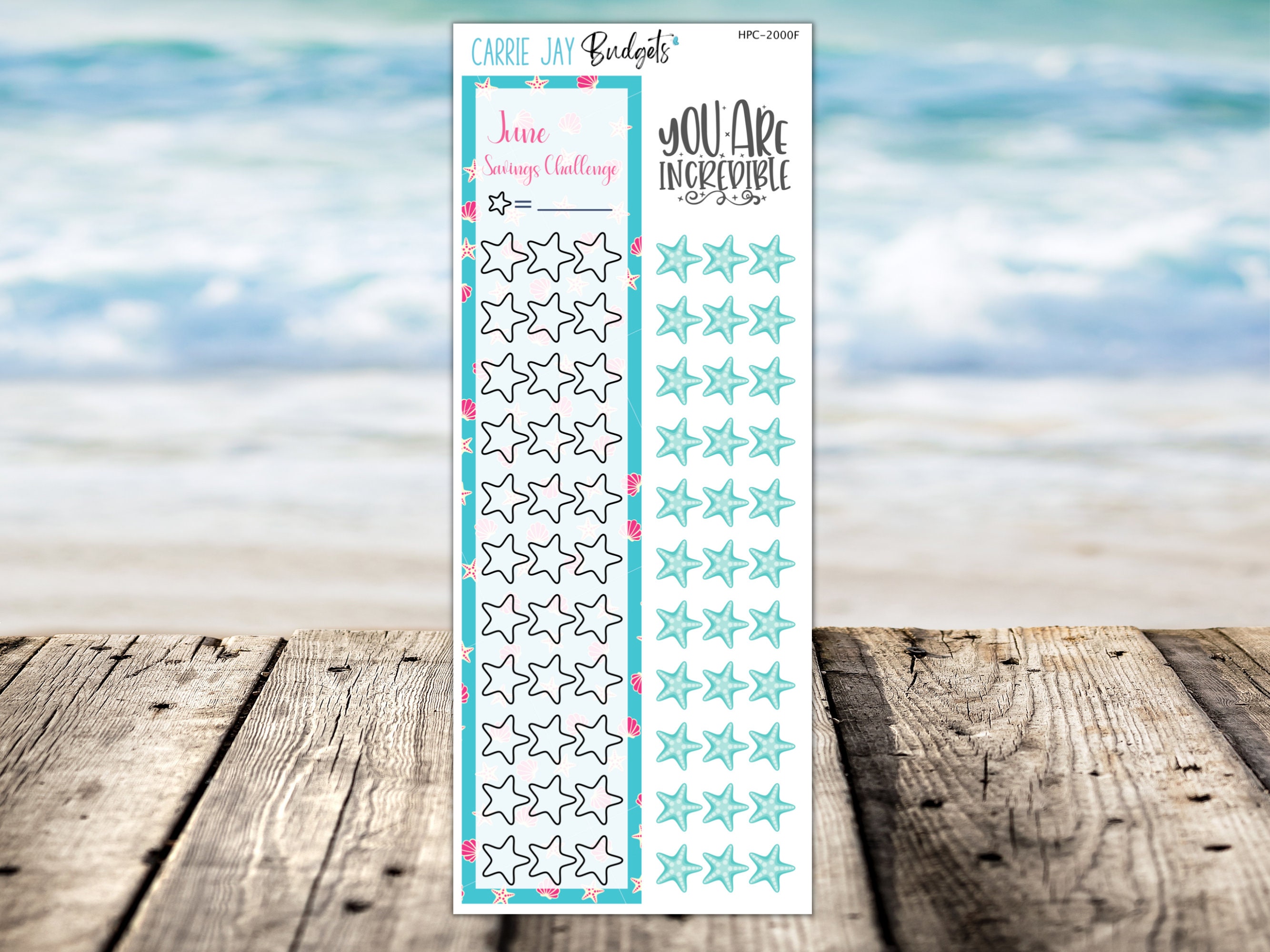 Savings Challenge Bundle Full Sidebar Stickers for All 12 - Etsy