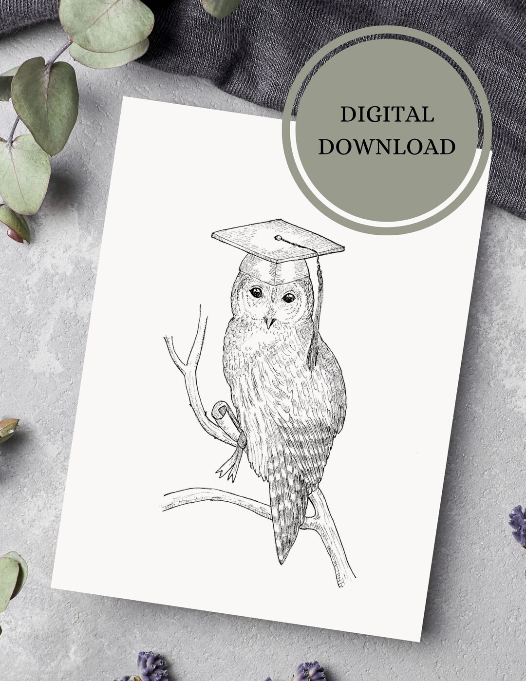 Wise Owl Coloring Page for Adults and Children/instant Download ...