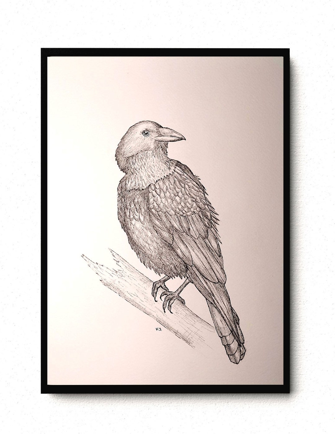 Original Handmaid Fine Art Illustration of Crow. Black and White ...
