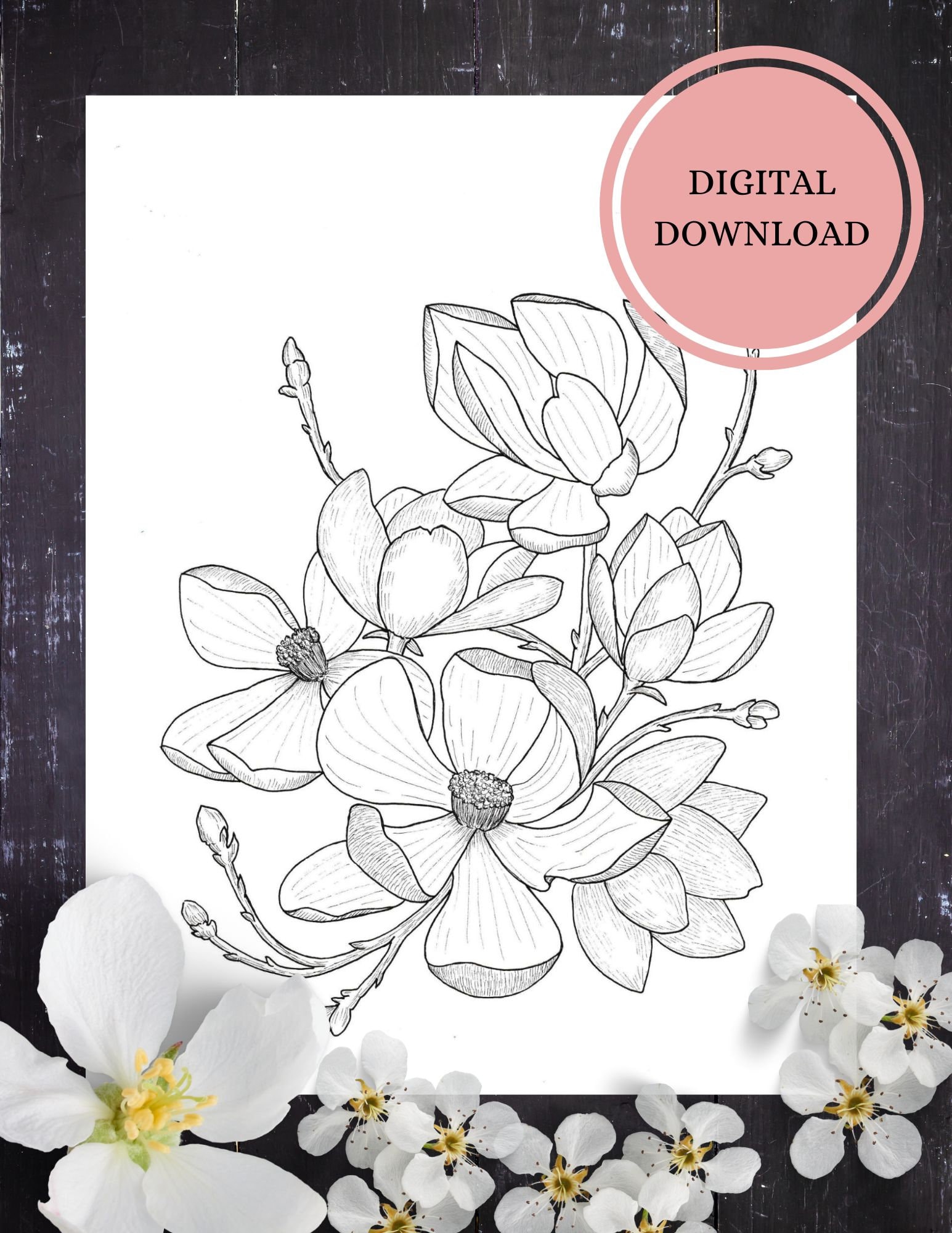 Magnolia Flower Coloring Page