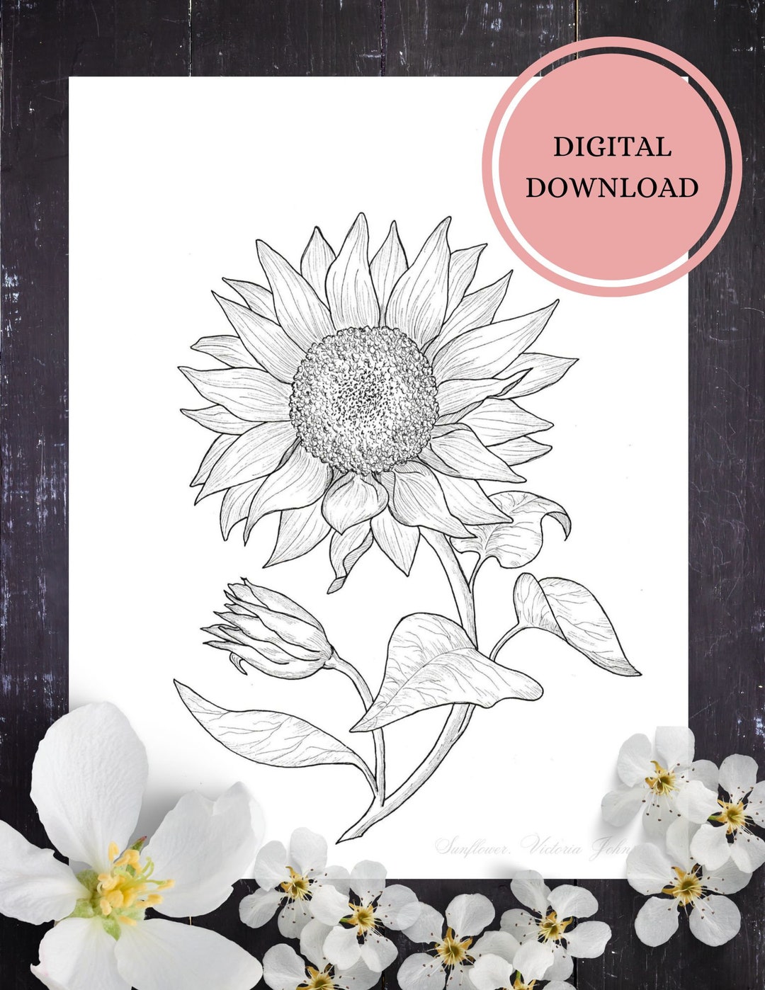 Sunflower Flower Coloring Page/instant Download Coloring Page for ...