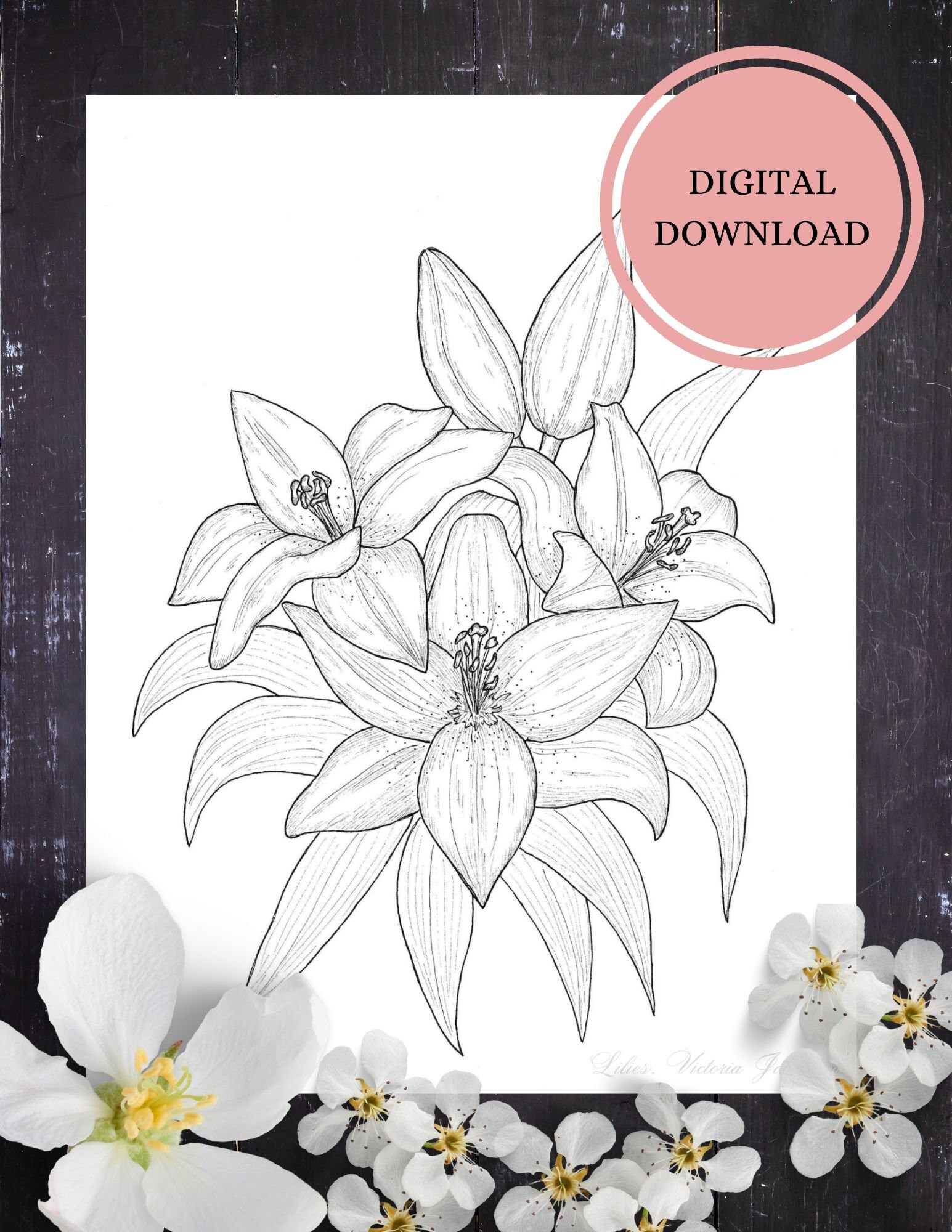 Lily Flower Coloring Page/instant Download Coloringpage for Adults and ...