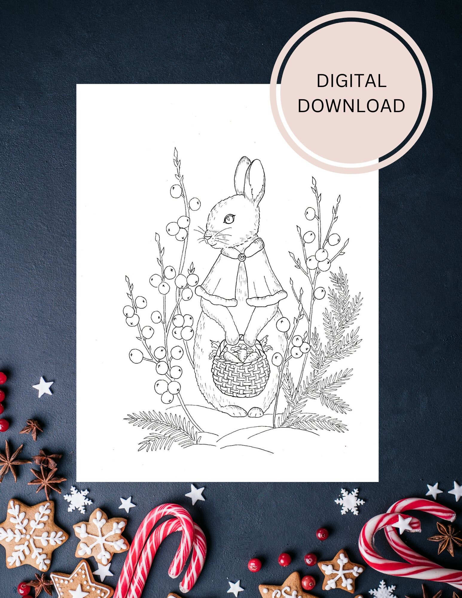 Mrs. Rabbit Christmas Shopping Coloring Page/adult Christmas Coloring ...