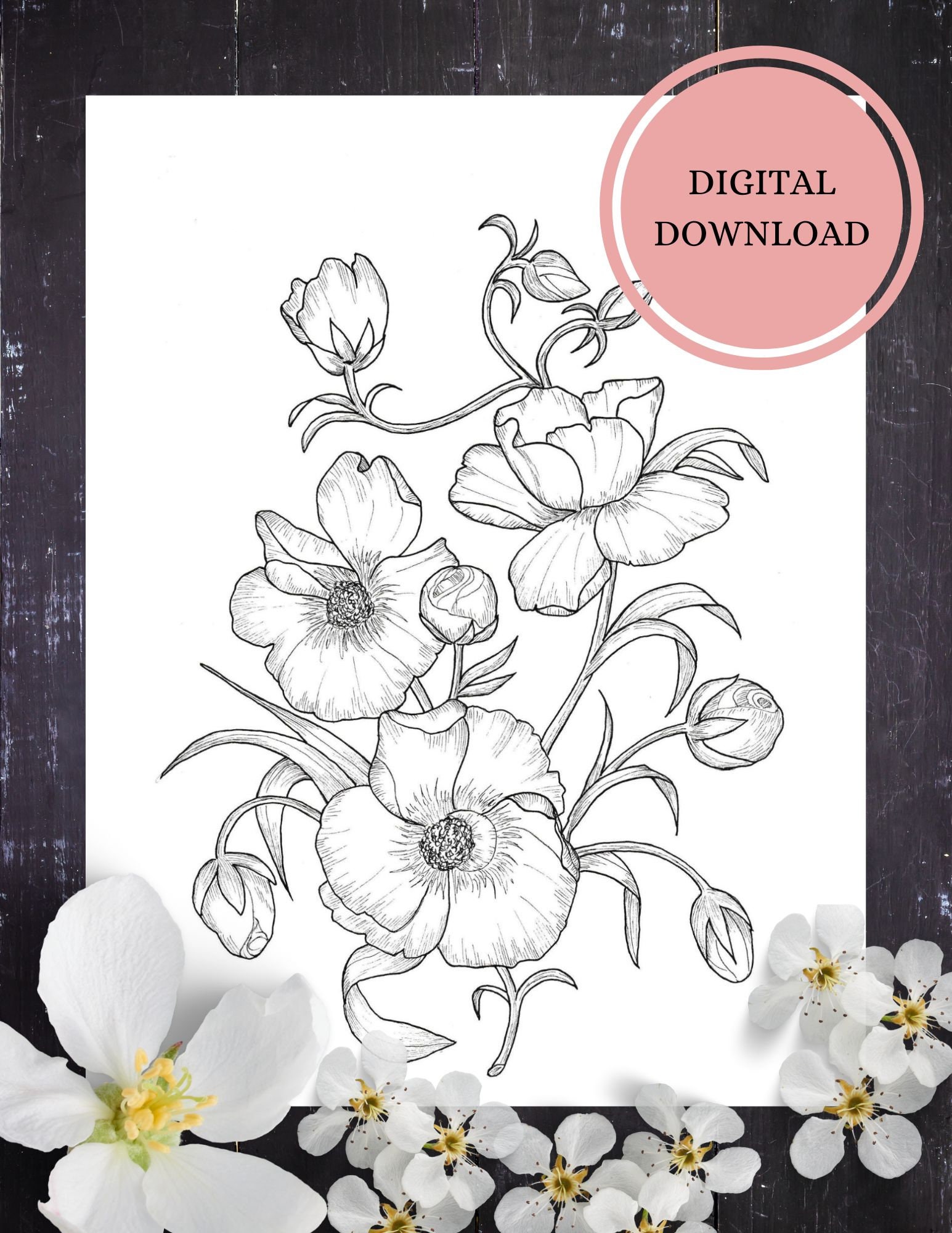 Ranunculus Flower Coloring Page/instant Download Coloring Page for ...