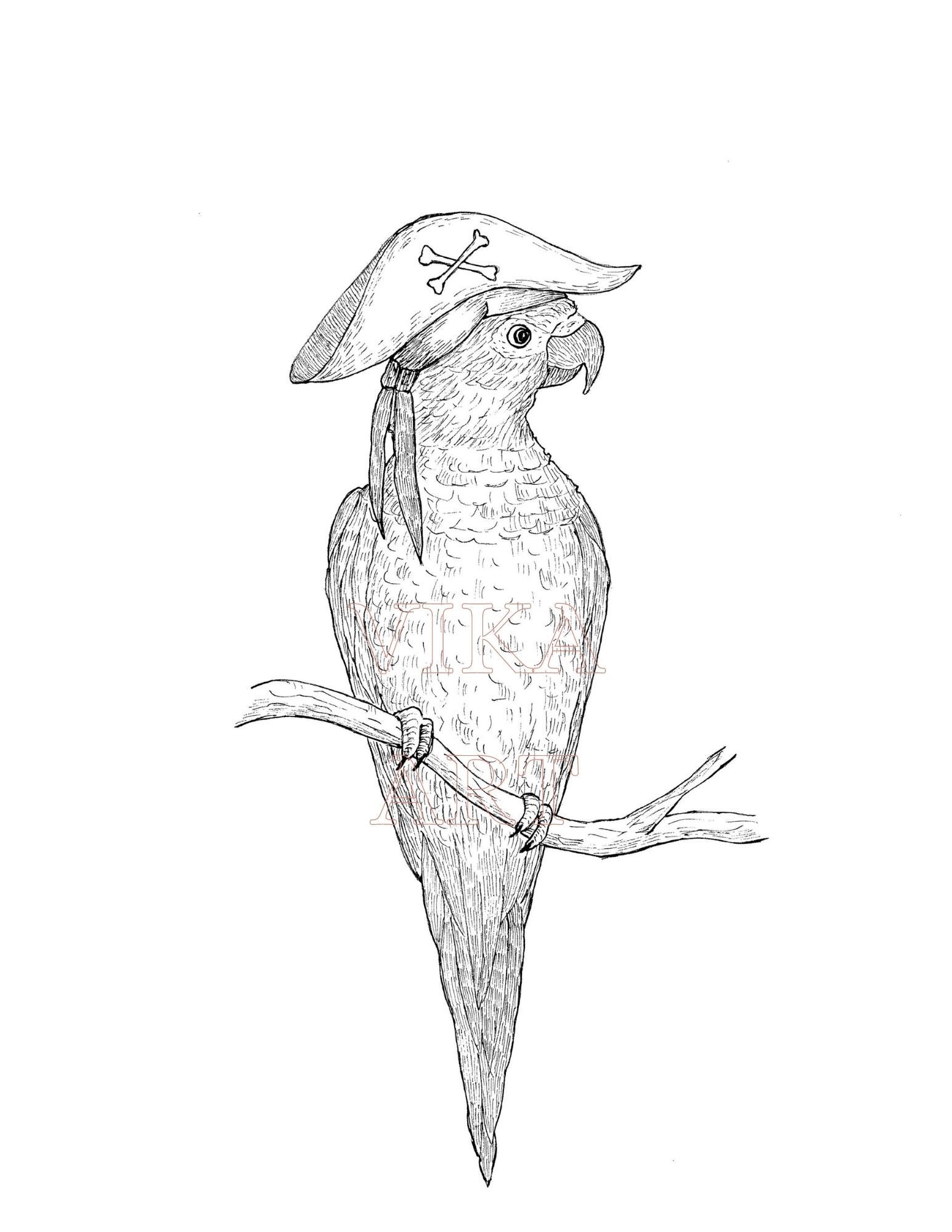 Pirate Parrot Coloring Page