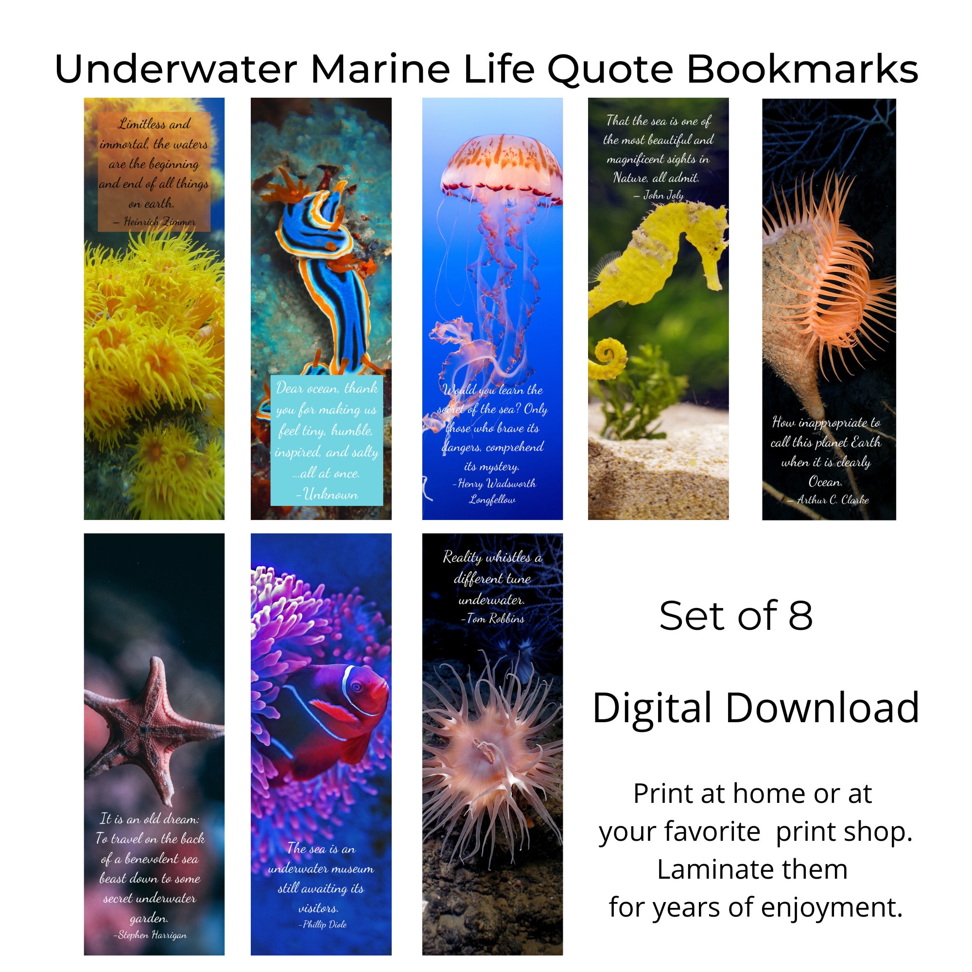 Ocean Animal Bookmarks