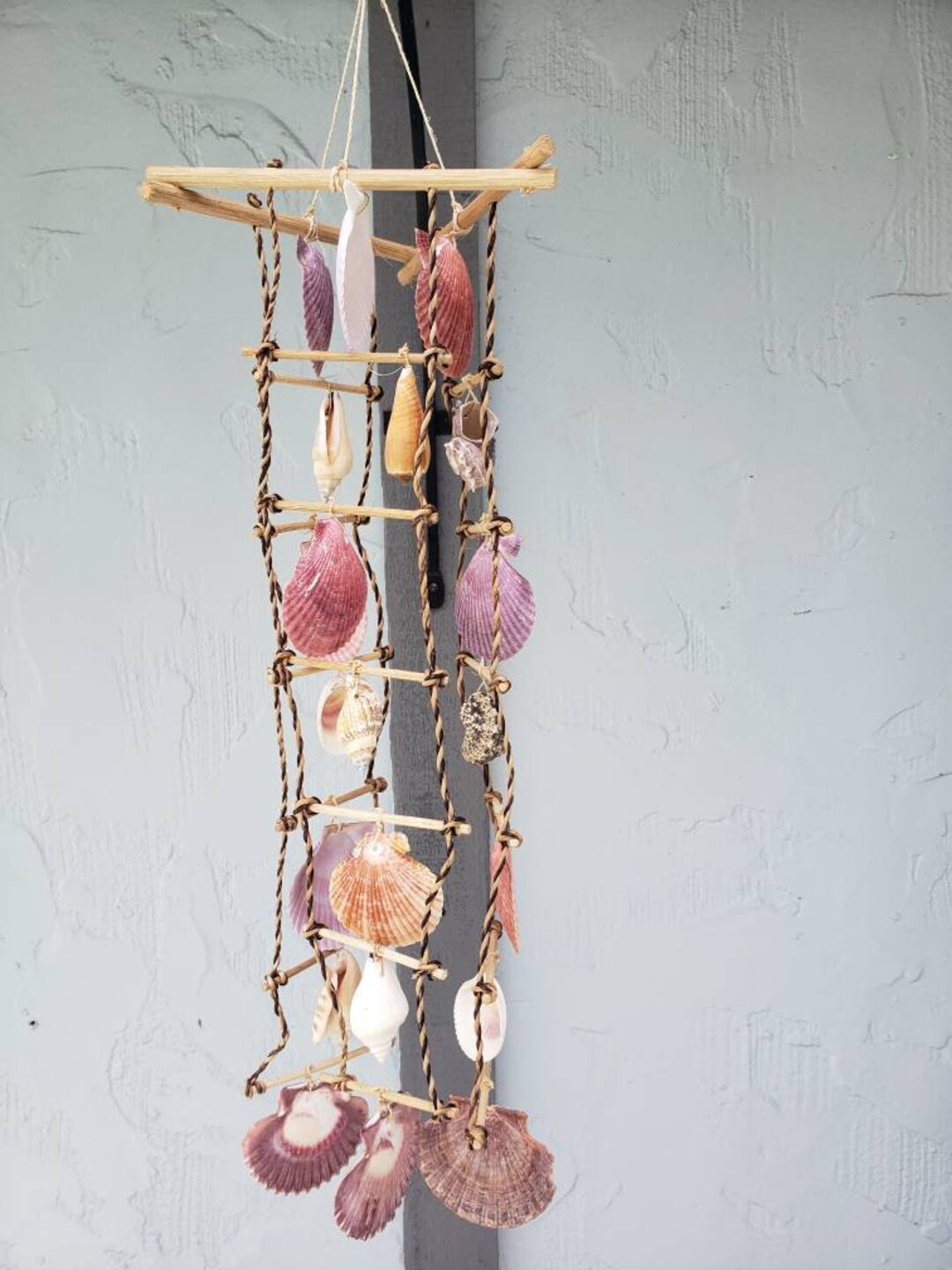 Natural Color Large Scallops Pectens Wind Chimes Hanger Chandelier 20 ...
