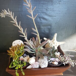 Star Fish, Sea Shells & Succulent Plant Arrangement in Wooden Box - Etsy