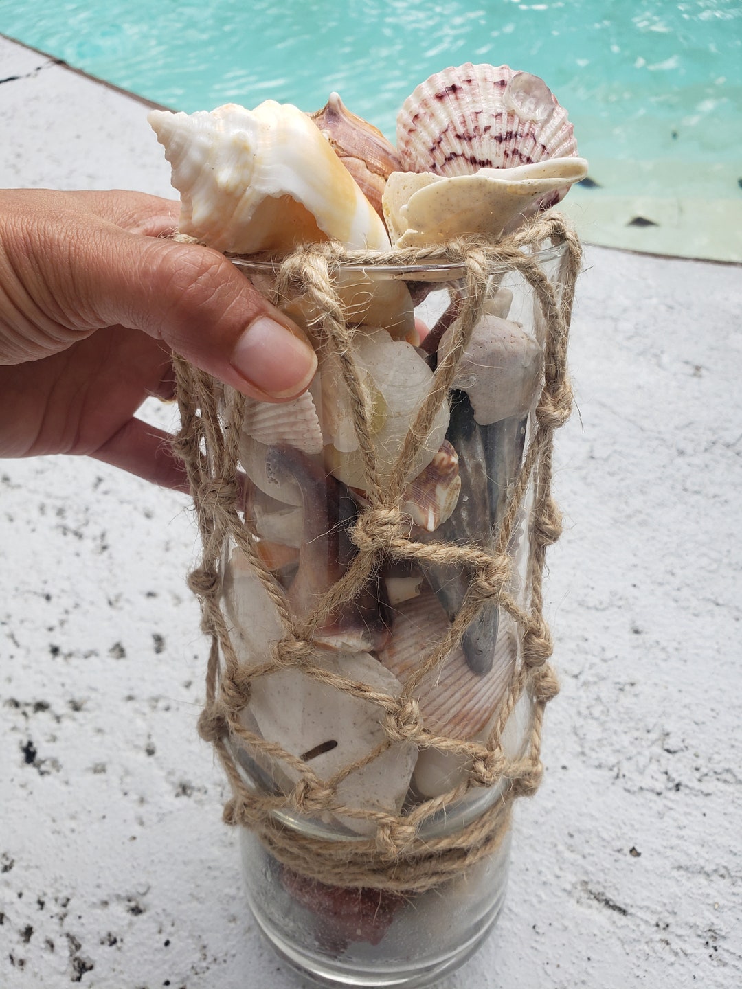 Sea Shells in Tall Glass Wrapped With Jute Rope - Etsy