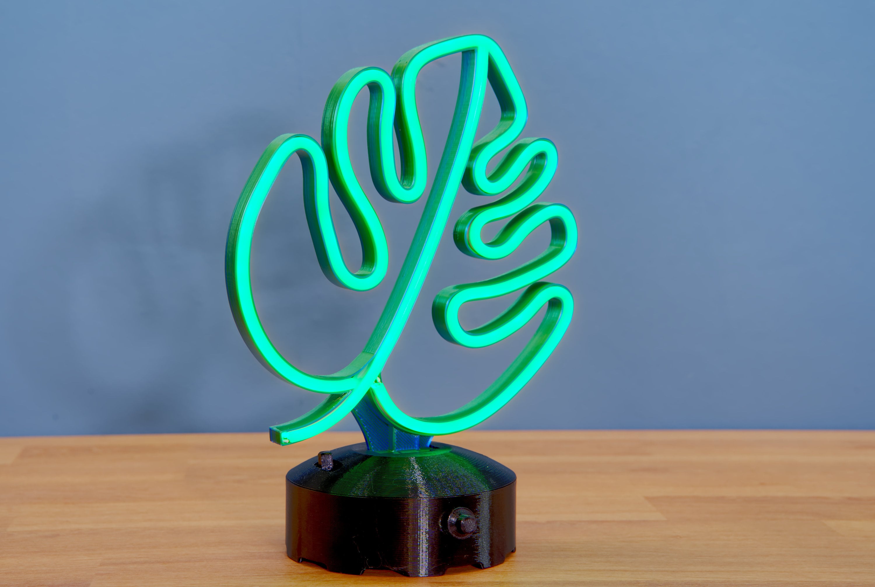 Neon Sign Leaf Shape - Etsy