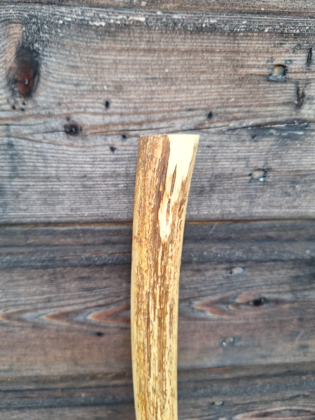 Handmade Welsh Oak Walking Stick With Optional Brass or Rubber Ferrule ...