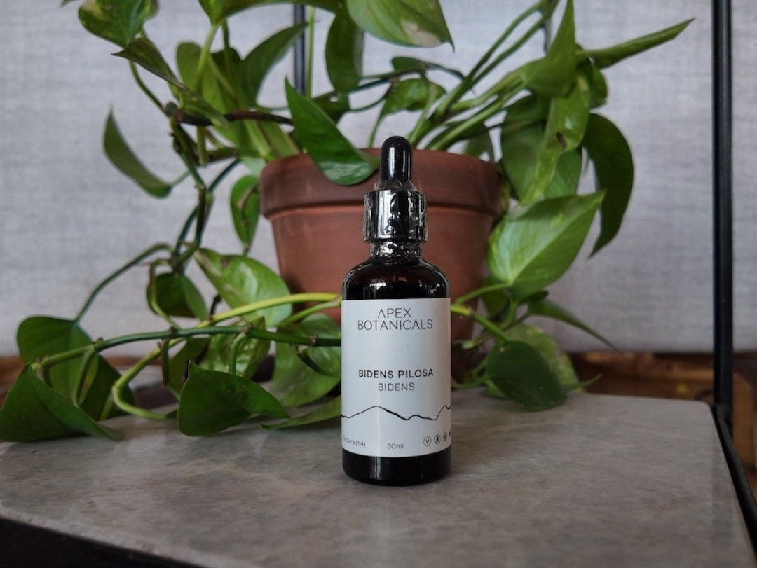 Bidens Pilosa Extract | Bidens Pilosa Tincture | Buhner Herbs | Buhner ...