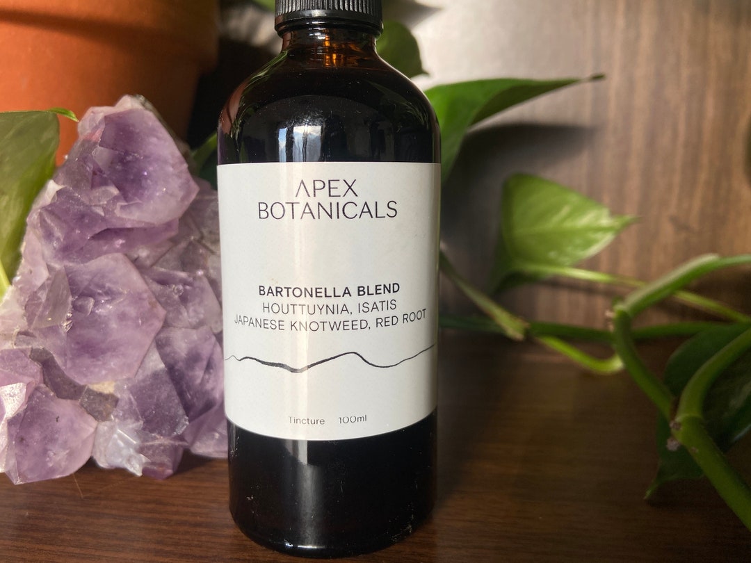 Bart Blend: Houttuynia, Isatis, Japanese Knotweed, Red Root | Buhner ...