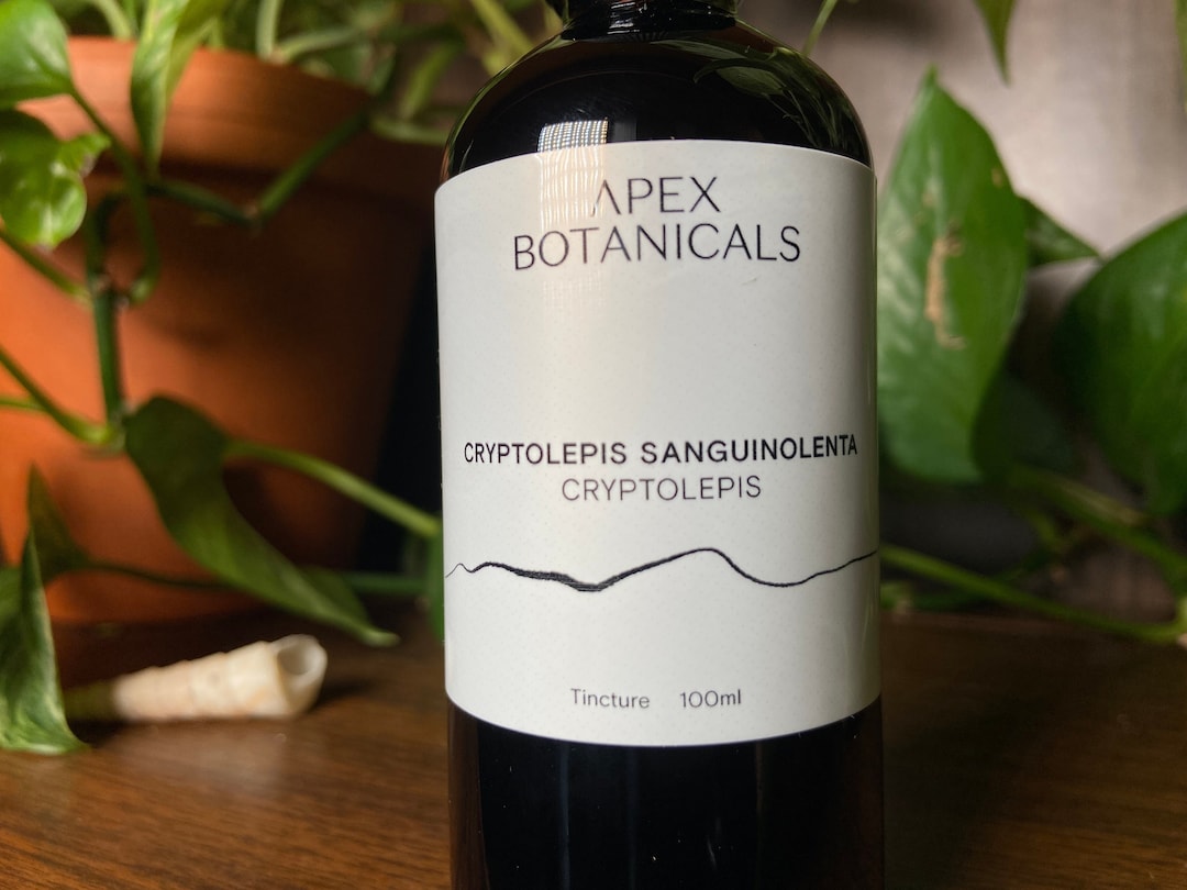 Cryptolepis Sanguinolenta Tincture, Made From Cryptolepis Root | 1:4 ...