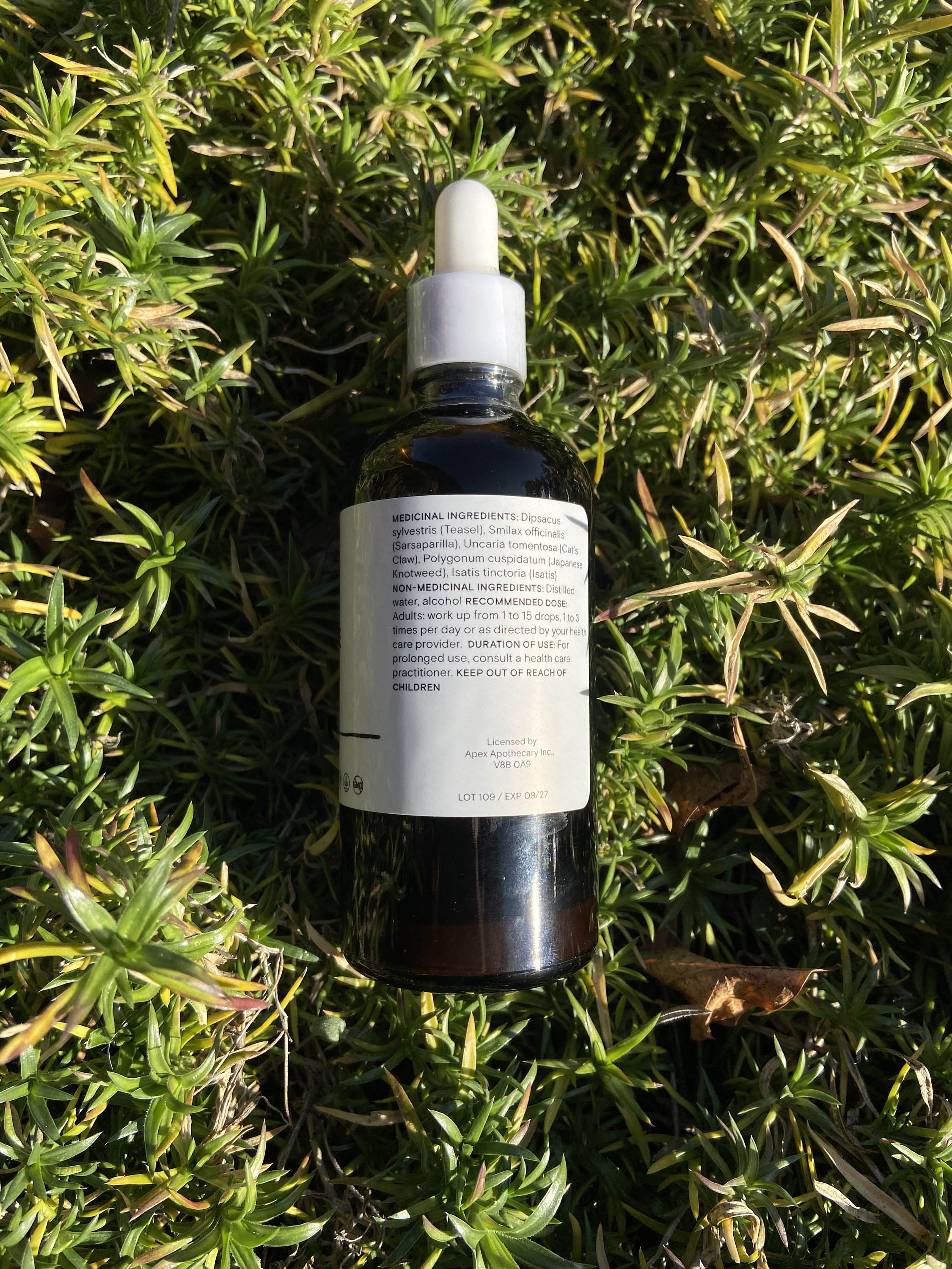 Neuro-l Blend | Teasel Root, Sarsaparilla Root, Uncaria Tomentosa ...